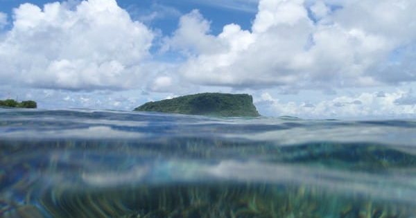 Snorkelling in Samoa with Turtles